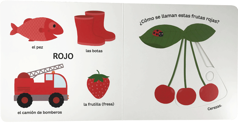 Catapulta Editores